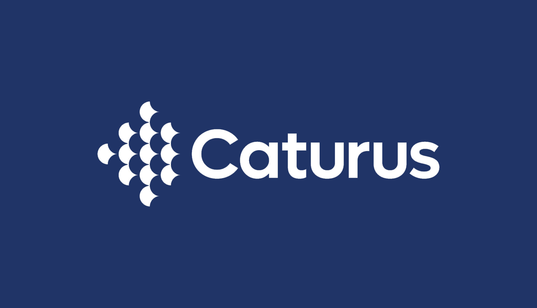Caturus Announces Final Investment Decision for 9.5 Mtpa Commonwealth ...